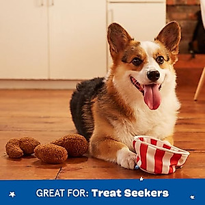 Barkbox 2 in 1 Interactive Plush Dog Toy - Rip and Reveal Toy for Dogs and Puppies - Stimulating Squeaky Pet Toys | Bucket o' Fried Licken