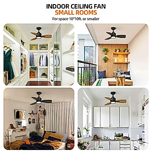 TALOYA Ceiling Fan with LED Light 32 Inch Remote Control Quiet Ceiling Fans with Reversible DC Motor for Bedroom Dining Room Office,Black/Walnut