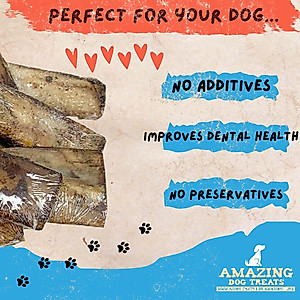 Amazing Dog Treats - Meaty Smoked Rib Bones (10 Count Pack) - Rib Bones for Dogs - Natural Smoked Grass Fed Cattle Rib Bone Dog Chew - Tasty Dog Bone Treat