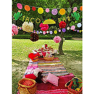 HAKPUOTR Taco Bar Banner with Cactus and Taco, Mexican Theme Birthday/Baby Shower/Bridal Shower/Engagement, Party Decorations, Fiesta Themed Party Taco Bar Décor