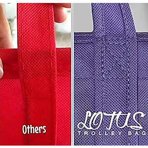 Lotus Trolley Bag -Lrg Club Cart Version-w/LRG COOLER Bag & Egg/Wine holder! Reusable Grocery Cart Bags sized for COSTCO, SAMS, ALDI, HEB & BJ. Eco-friendly 3-Bag Grocery totes