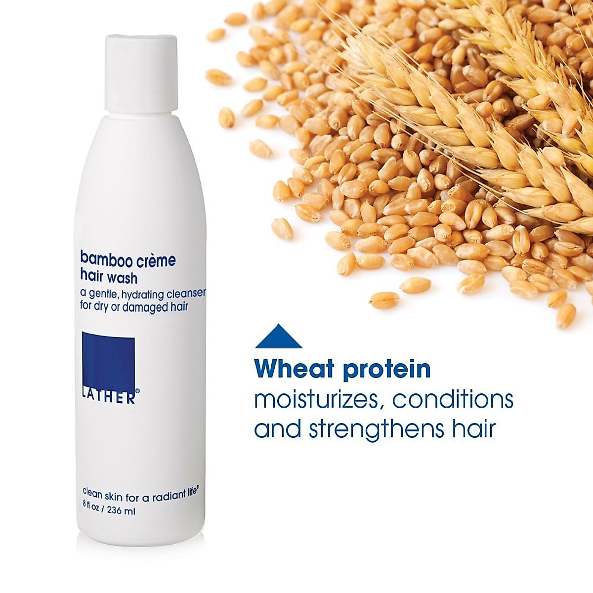 LATHER Bamboo Crème Shampoo - Lightweight & Non-Greasy Hair Wash Formula - Nourishing & Hydrating Shampoo for Dry or Damaged Hair - Sulfate Free - 8 Fl Oz Bottle