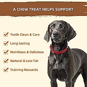 Jungle Calling Dog Treats Long Lasting, Rawhide Chews for Dogs, Chicken Wrapped Rawhide Donuts, Chewy Snacks for Medium Large Dogs