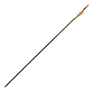 SAS Fiberglass Archery Arrow 28" with 3" Vanes + Coat Head + Plug Nock for Youth Target Practice Recurve Compound Bow Shooting Recreation Kid Range (Black 12/Pack)