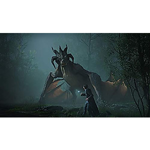 Hogwarts Legacy Collector's Edition - PC