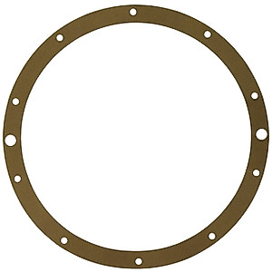 Hayward SPX0506D Niche Gasket for Underwater Lights, Vinyl