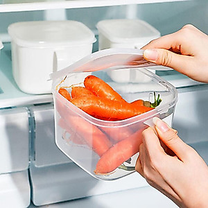 HANABASS 2Pcs Plastic Storage Containers Square Food Storage Organizer with Lid Handle Plastic Food Storage Containers with Lids for Fruits Vegetables Meat Egg
