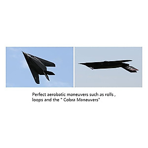Sky Flight Hobby/Lanxiang/LX 70mm EDF Jets F117 Nighthawk PNP/ARF RC Flighter Plane