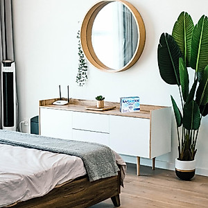 Luv Biotics Original Mint Lozenges with Probiotics, Xylitol & Aloe Vera - 30 Lozenges