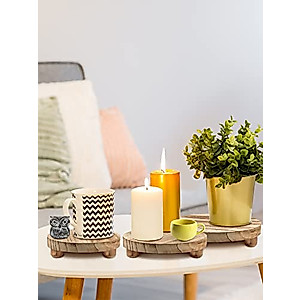 Set of 3 Mini Wooden Stool Display Stand - Round Decorative Flower Shelf Bonsai Rack Garden Plant Pot Riser Holder Modern Plant Stand with Wood Grain for Indoor Outdoor Home Patio Decoration (S, M, L)