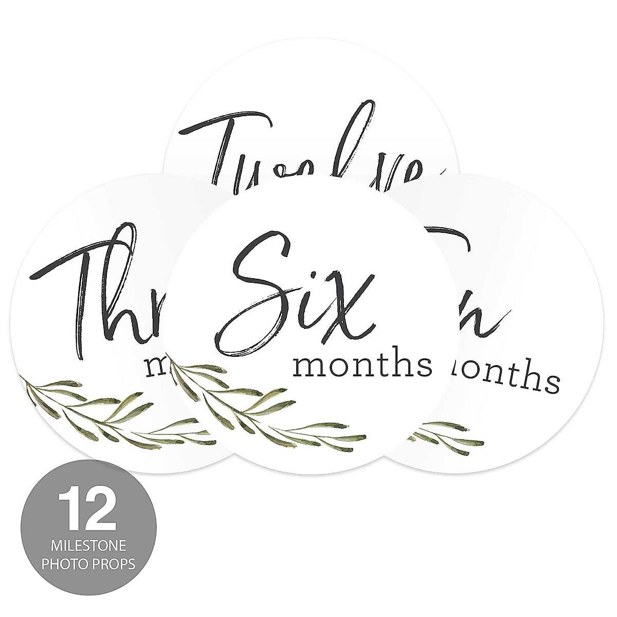 Baby Milestone Signs/Greenery Monthly Milestones/Botanical Infant Photo Prop