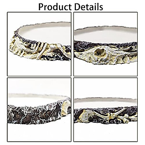 Tfwadmx Reptile Water Bowl Reptile Rock Food Dish Reptile Feeder Food and Water Feeding Bowl for Lizard Bearded Dragon Turtle Frog Leopard Gecko Snake Chameleon