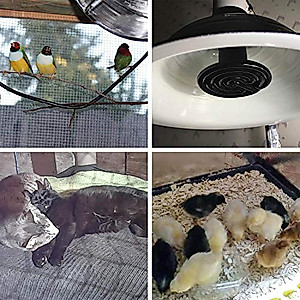 CRLight 100W 2 Pack Ceramic Heat Emitter Infrared Heat Lamp Bulb for Reptile Amphibian Pet Brooder Coop Chicken Lizard Turtle Snake Aquarium, No Light No Harm, ETL Listed, Black