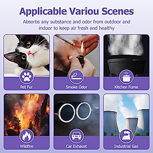 FLT4850PT HEPA Filter B Replacement Compatible with AC4825 AC4300 AC4800 AC4900 AC4850, 4 True HEPA Filters & 8 Activated Carbon Pre-Filters, Pet Pure Version, Purple