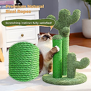 PAWZ Road Cat Scratching Post Cactus Cat Scratcher Featuring with 3 Scratching Poles and Dangling Ball-Medium 23 Inches