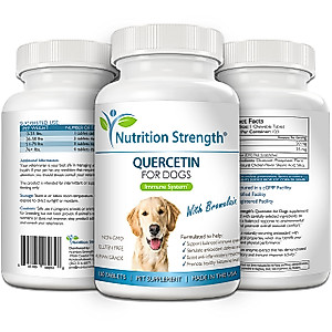 Nutrition Strength Quercetin for Dogs with Bromelain to Support Balanced Immune System, Promote Inflammatory Relief & Antioxidant Activity, Quercetin for Dog Allergies, 120 Chewable Tablets