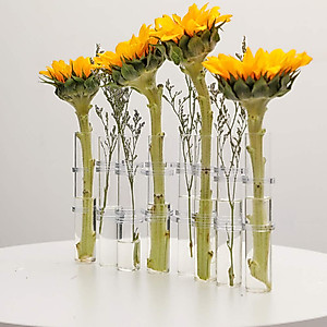 DOITOOL 8Pcs Test Tube Vase Decorative Glass Vase Hinged Bud Test Tubes Vases Planter Arranging Container Hydroponic Holder Decor with Hooks and Brushes 18cm