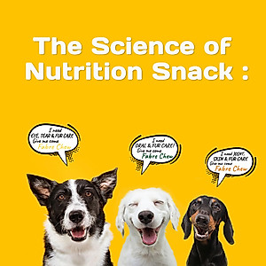 Fabrechew Orange Joint, Skin & Fur Care Dog Treats : High-Protein Dental Snacks with Cricket Protein, Hypoallergenic, Meat Free, Supports Joint Health & Promotes Skin and Coat, Soft Type (14 Pcs)