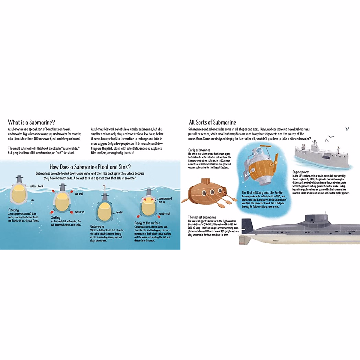 What a Submarine Sees: A fold-out journey under the waves