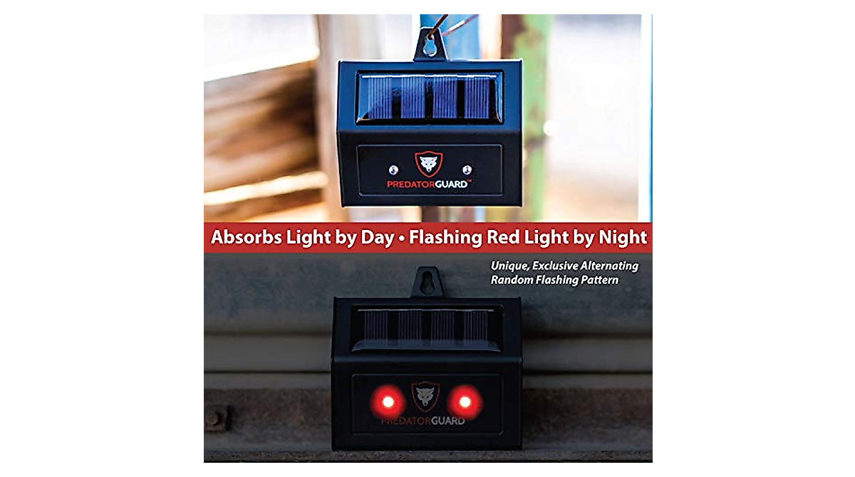 Solar Predator Deterrent Light for Safe Animal Protection | PREDATORGUARD