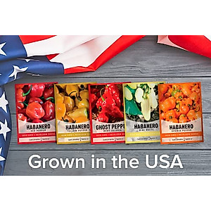Hot Pepper Seeds For Planting Ghost Habanero - 5 Varieties Pack Ghost Pepper Seeds, Red, Orange, Yellow, White Habanero Seeds For Planting In Garden Non Gmo, Heirloom Peppers Seeds By Gardeners Basics