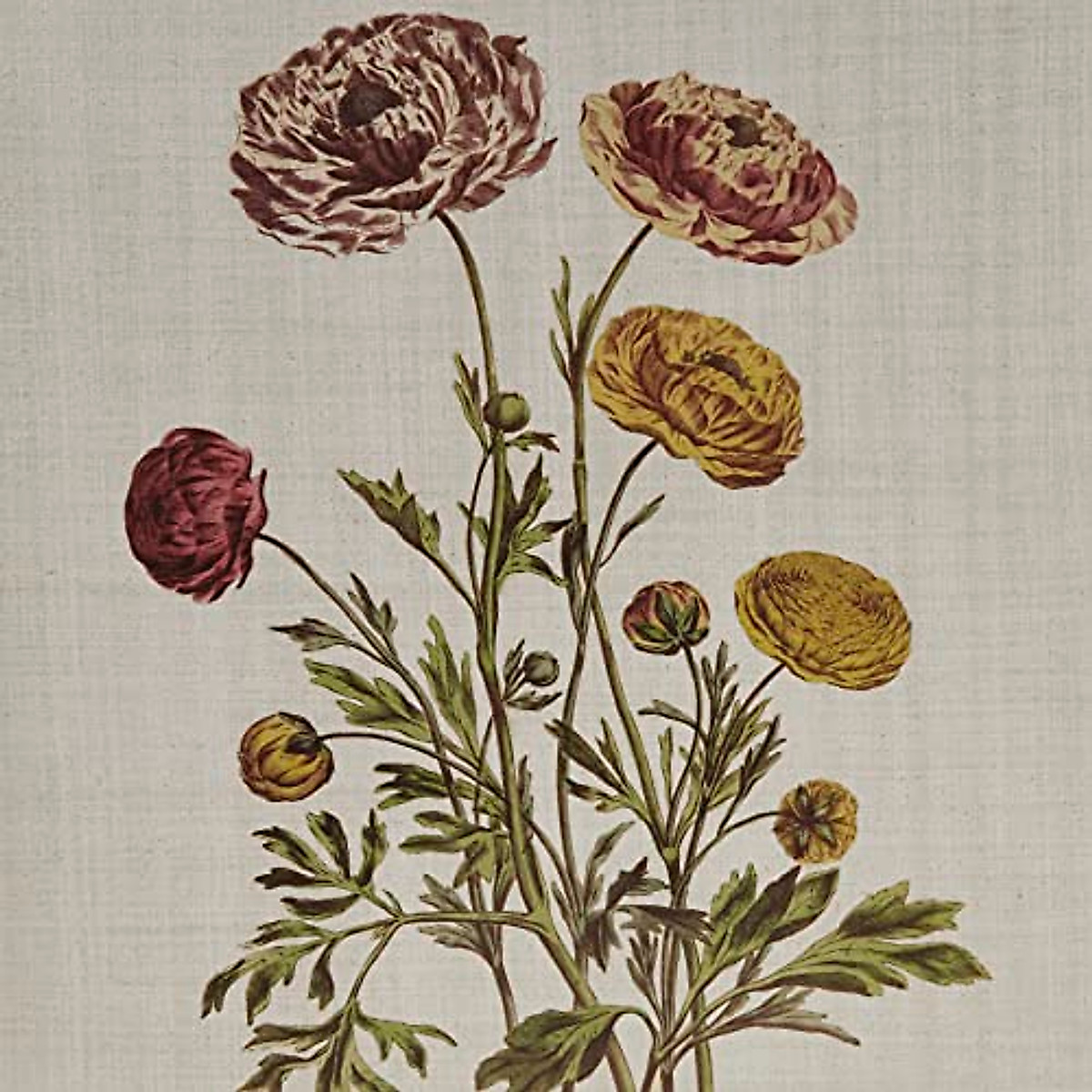 Martha Stewart Herbal Botany Wall Art Living Room Decor - Floral Linen Canvas, Farmhouse Lifestyle Bathroom Decoration, Ready to Hang Painting for Bedroom, 17.84"W x 21.84"L x 1.45"H, Green 4 Piece