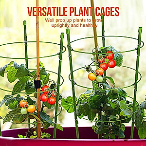 Tomato Cages, LEOBRO 3 Packs Plant Garden Stakes, Small Tomato Plant Support Cages for Garden, Metal Plant Support Trellis for Tomato Peony Flower Climbing Indoor Plants, 17.7" H