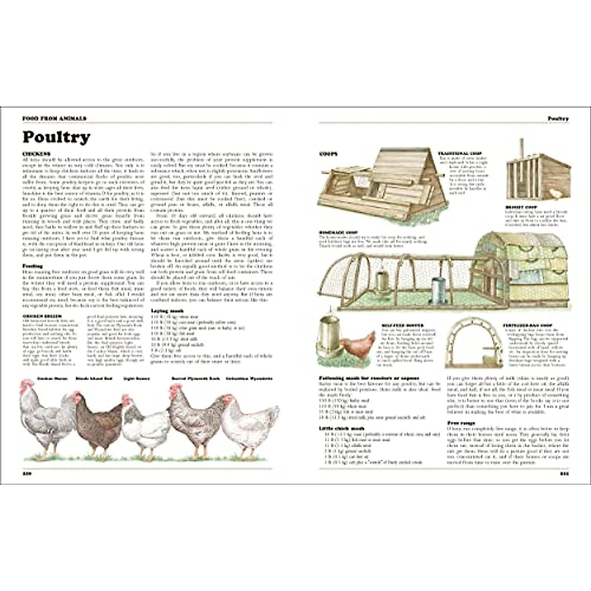 The Self-Sufficient Life and How to Live It: The Complete Back-to-Basics Guide