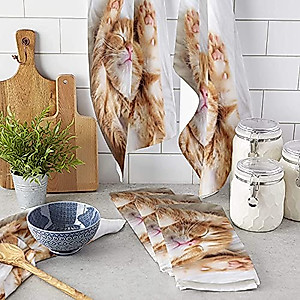 BULING Soft and Super Absorbent Dish Towels Cute Cat Lovely Animal for Pet Lover 2PCS Microfiber Kitchen Towels for Drying Dishes,Multipurpose Dish Cloths - 28 x 18 Inch