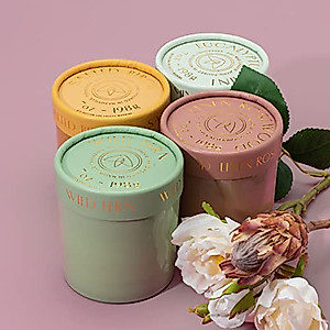 Paddywax Firefly Candle Co. Optimist Scented Candles with Soy Wax Blend and Reusable Glass Jar for Home Fragrance and Aromatherapy - 7 Ounce, Linen Rosewood, Dusty Pink