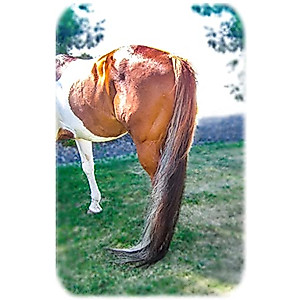 The Tail Boot-Tail Bag for All Equines (Large Black Swisher)