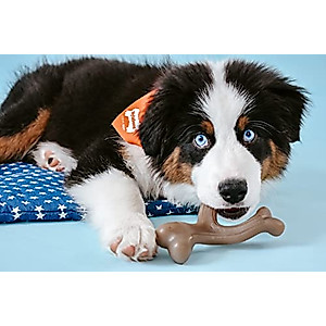 Nylabone Dog, Puppy Gourmet Style Strong Chew Toy Wishbone Peanut Butter Small/Regular (1 Count)