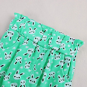 CM C&M WODRO Toddler Kids Baby Girls Easter Outfits Long Sleeve T-Shirt Tops Pants Bunny Clothing Sets (Green, 18-24 Months)