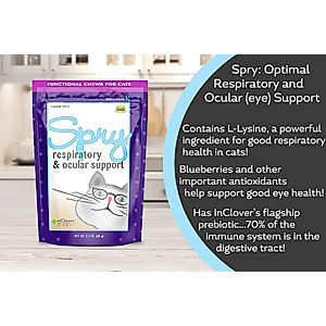 In Clover Spry, Cat Eye Care Support, L-Lysine Cat Treat Supplement, Cat Immune Support Supplement, Cat Health Daily Treat, Prebiotic Cat Health Support, Cat Antioxidant Respiratory Health for Cats
