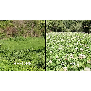 Whitetail Institute Slay Selective Broad-Leaf Weed Control Herbicide Specifically Developed for Deer Food Plots, 4 Ounces (1 acre)