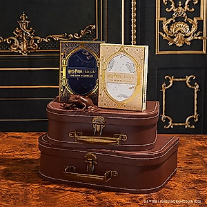 Harry Potter x Kitsch Satin Pillowcase | Softer Than Silk Pillowcase | Cooling Pillow Case Cover with Zipper | Pillowcase Satin for Hair & Skin | Pillow Cases Standard Size Queen (Owl Post, 1 Pack)