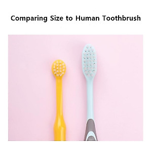 Gaeulhouse Tiny Small and Medium Dog Toothbrush Made in Korea Toothbrush Bristles That are Soft and Do Not Irritate Your Dog’s Gums Small Toothbrush Grip and Excellent Tartar Removal (4pcs)