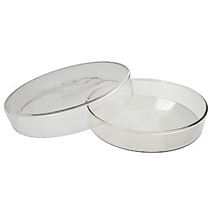 GSC International 1500-3 Glass Petri Dish, 90 mm x 15 mm
