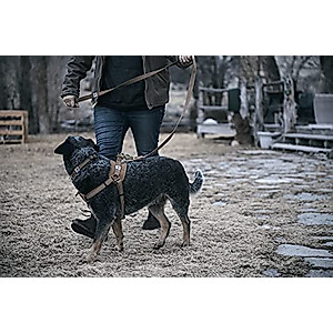 Carhartt Nylon Duck Training Dog Harness, Carhartt Brown, Medium