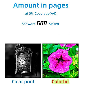 62XL Ink Cartridges Combo Pack Replacement for HP Ink 62XL Compatible for HP Envy 5660 5640 7640 7643 5540 5541 5643 7645,HP Officejet 250