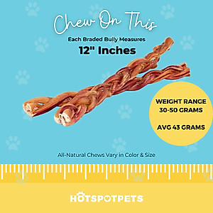 hotspot pets Braided Bully Sticks for Dogs -(12 Inch -10 Pack) All Natural Long Lasting Twisted Beef Pizzle Dog Chew Treats - Grain Free Fully Digestible Rawhide Alternative - 12 Inch Stix