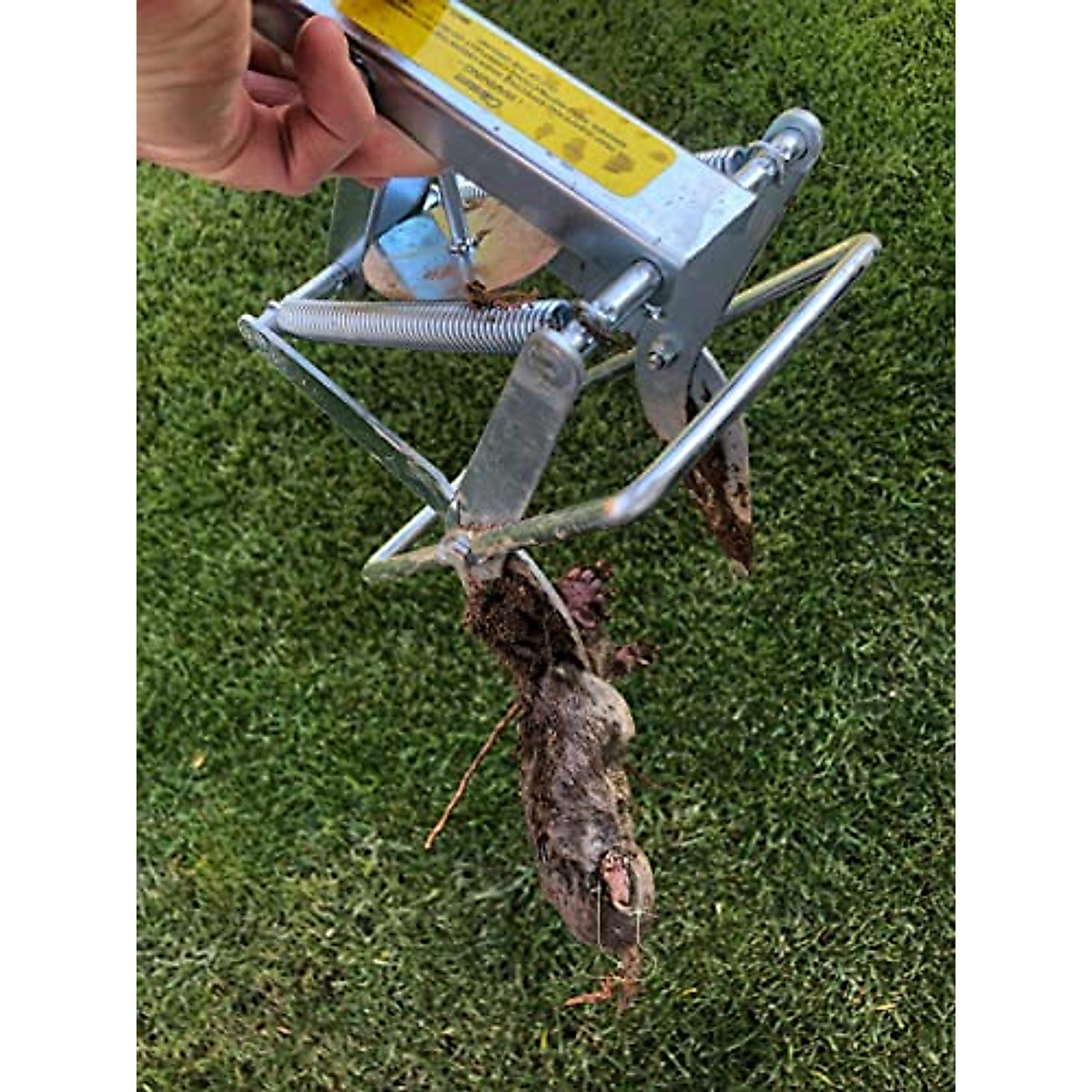 Garsum Mole Traps That Kill, EasySet Vole Gopher Trap for Lawns, Reusable Quick and Clean Kill,1 Eliminator Scissor Trap