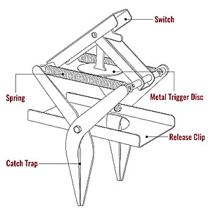 AMVOG Upgrade Mole Scissor Traps, EasySet Mole Traps That Kill, Reusable Gopher Traps for Lawns & Garden,2 Eliminator Traps