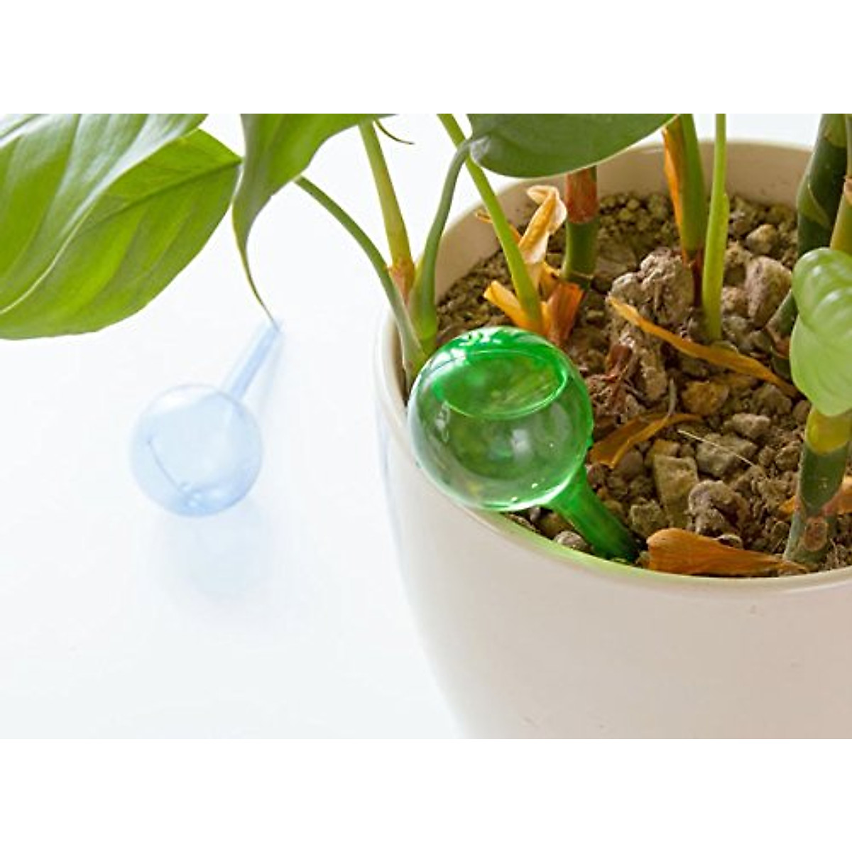 Warmshine 6 Pcs Garden Watering Globes Automatic Watering Globes Plant Self Watering Bulb Waterer Automatic Watering System,13cmx5cm/5.12inchx1.97inch (White&Green)