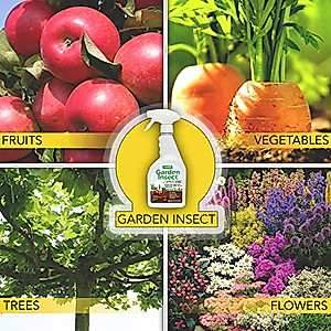 Harris Garden Insect Killer, 20oz Insecticidal Soap with Spinosad Kills Aphids, Beetles, Caterpillars, Thrips and More