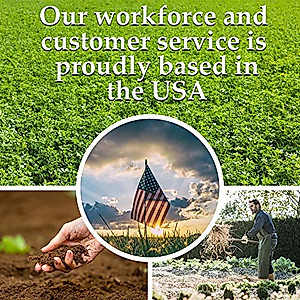 Thai Hot Pepper Seeds for Planting - 250 mg 30+ Seeds - Non-GMO, Heirloom Hot Pepper Plant Seeds - Home Garden Vegetable Hot Pepper Seeds - Sealed in a Beautiful Mylar Package for Extended Shelf Life