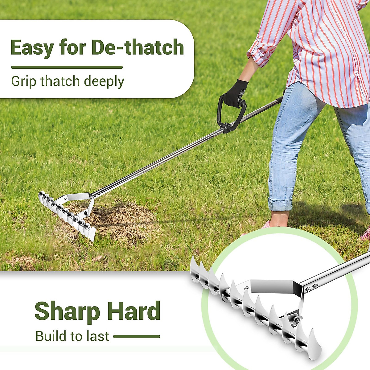 ZZM Thatch Rake, 15.7 Inch Lawn Thatching Rake for Cleaning Dead Grass, Stainless Steel Dethatching Rake with Back-Saving Handle, Grass Rake with Curved Steel Tines for Lawn Loosening Soil, 60" Length