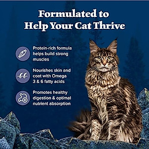 Blue Buffalo Wilderness Nature's Evolutionary Diet High-Protein, Grain-Free Natural Dry Food for Adult Cats, Chicken, 6-lb. Bag