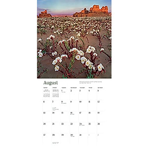 Audubon Desert Wildflowers Wall Calendar 2023: A Visual Delight for Nature Lovers and Gardeners Alike