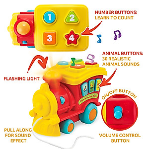 KiddoLab Toy Train - Interactive & Educational Pull Toy for Babies, Toddlers, Children - Numbers & Animal Sound Buttons, 8 Songs, Volume Control, Flashing Light - for Kids Ages 6 Months & Up
